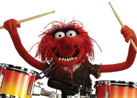 Muppet Opinions Poll