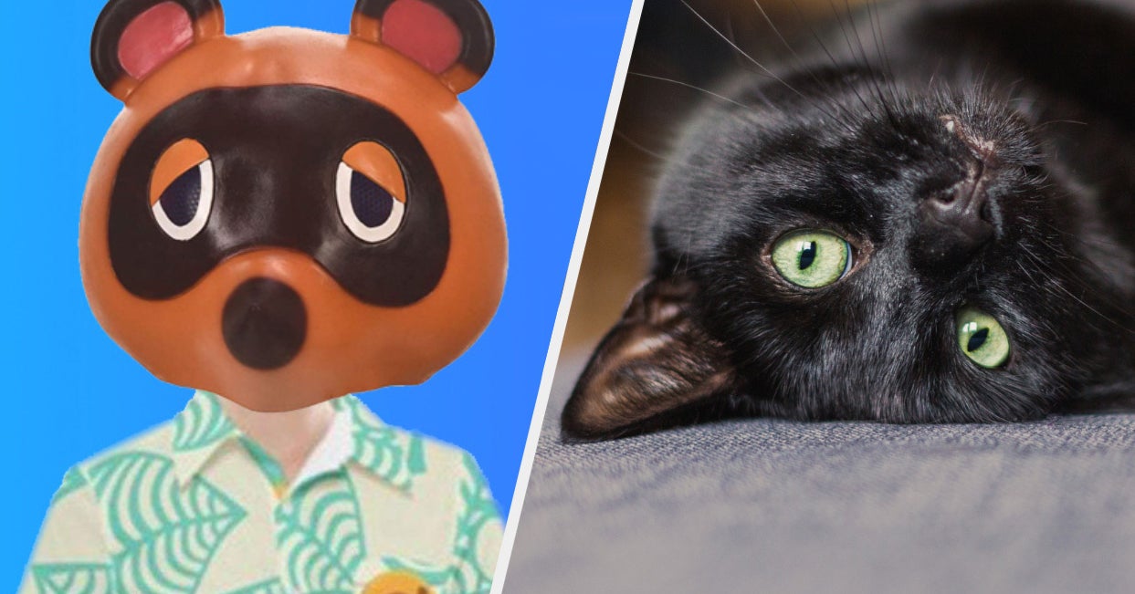 Choose Black Cats For A Trendy Halloween Costume