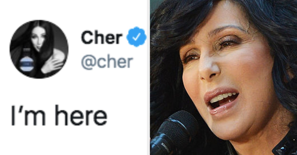 Cher's "I'm Here" Meme Is Here