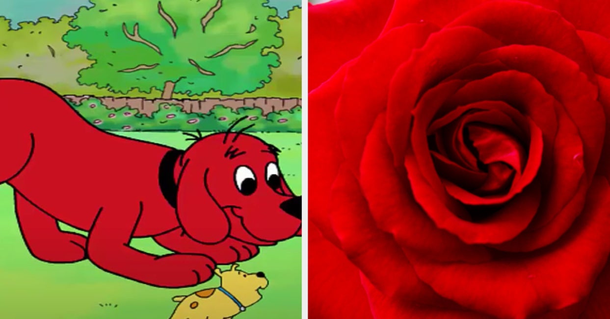 Quiz: How Well Do You Know Things That Are Red?