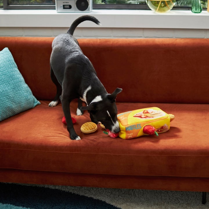 33 Best Dog Toys That'll Make Your Dog Say "Woof Woof"