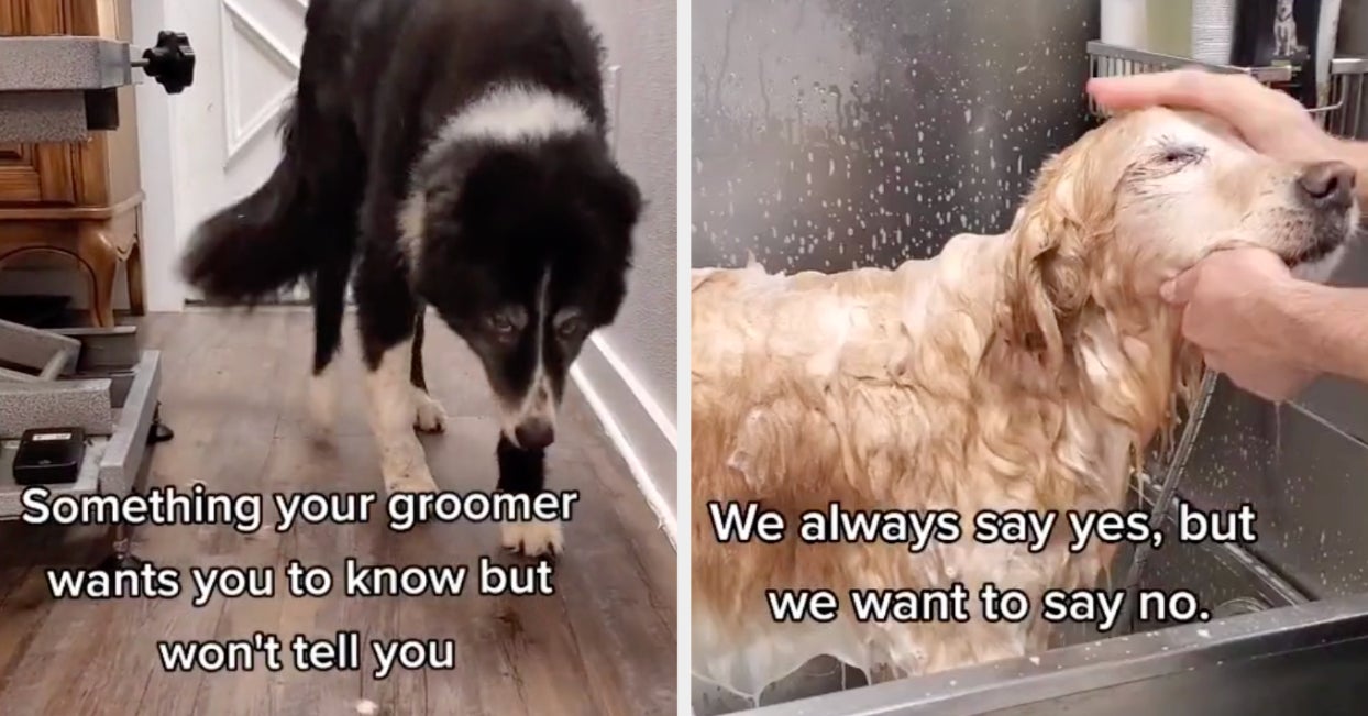 "Things Your Dog Groomer Won't Tell You" Viral TikTok