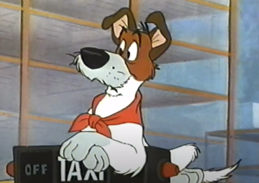 Chris Evans Reveals Why He Named His Dog Dodger