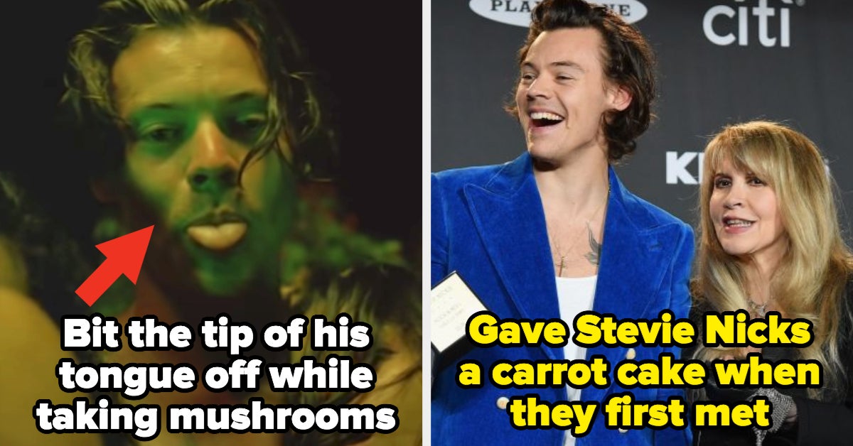 Harry Styles Facts 14 Things You Might Not Know About The