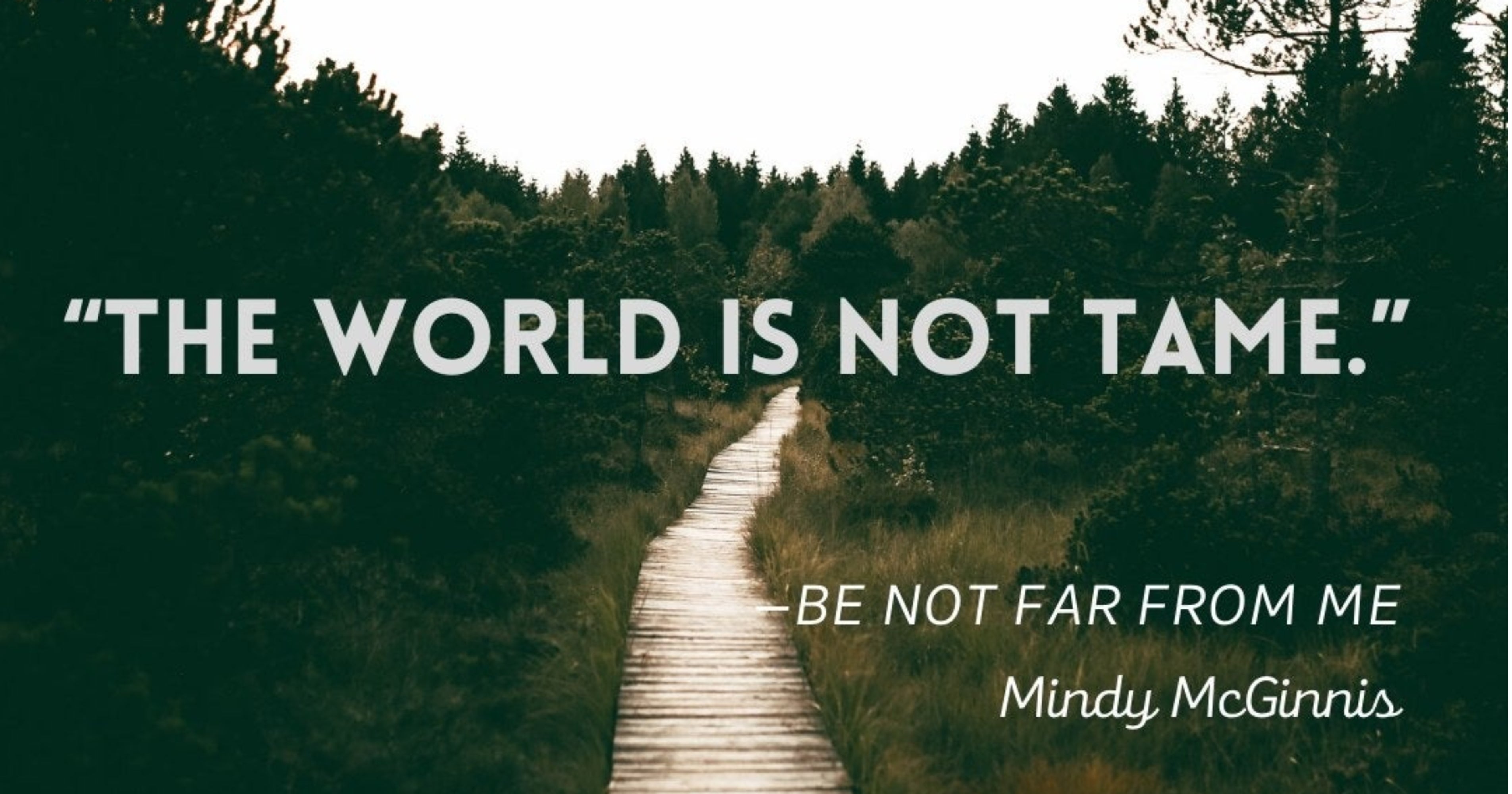 50 Opening Sentences From 2020 Books That Are Incredibly Intriguing