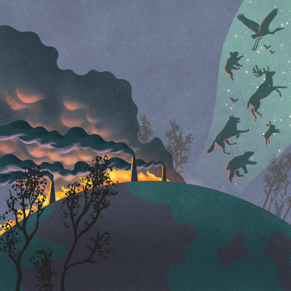 We Asked 6 Artists To Draw Illustrations For The Causes They Care About