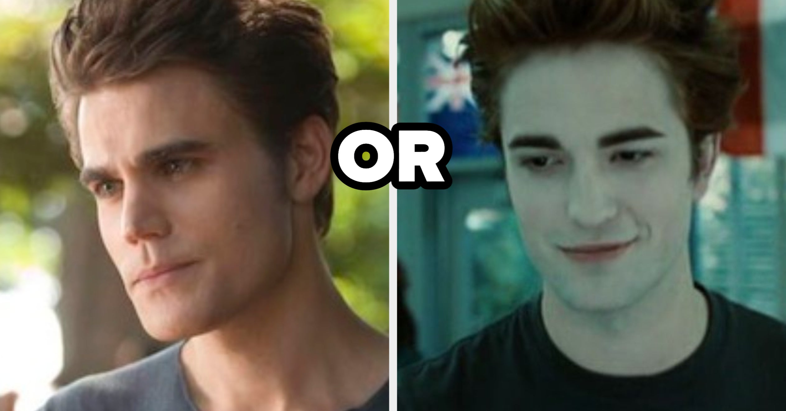 twilight stefan x reader