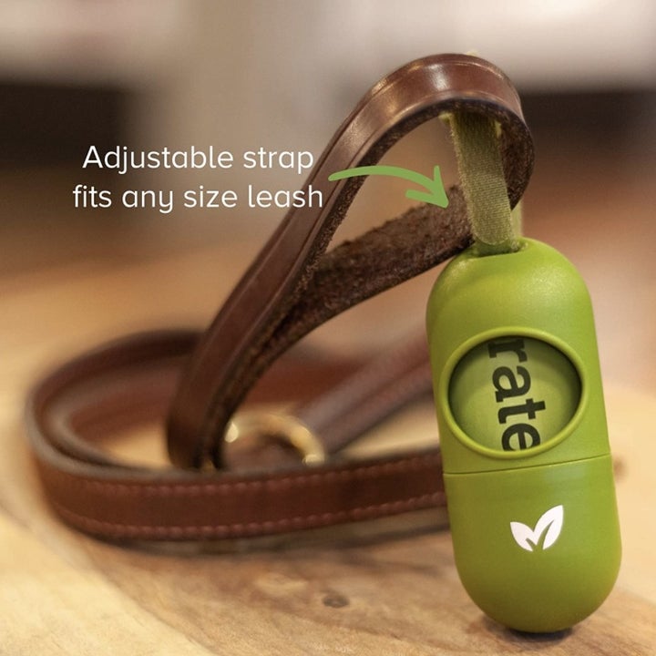 25 Pet Products From Amazon That Are Perfect For Fall
