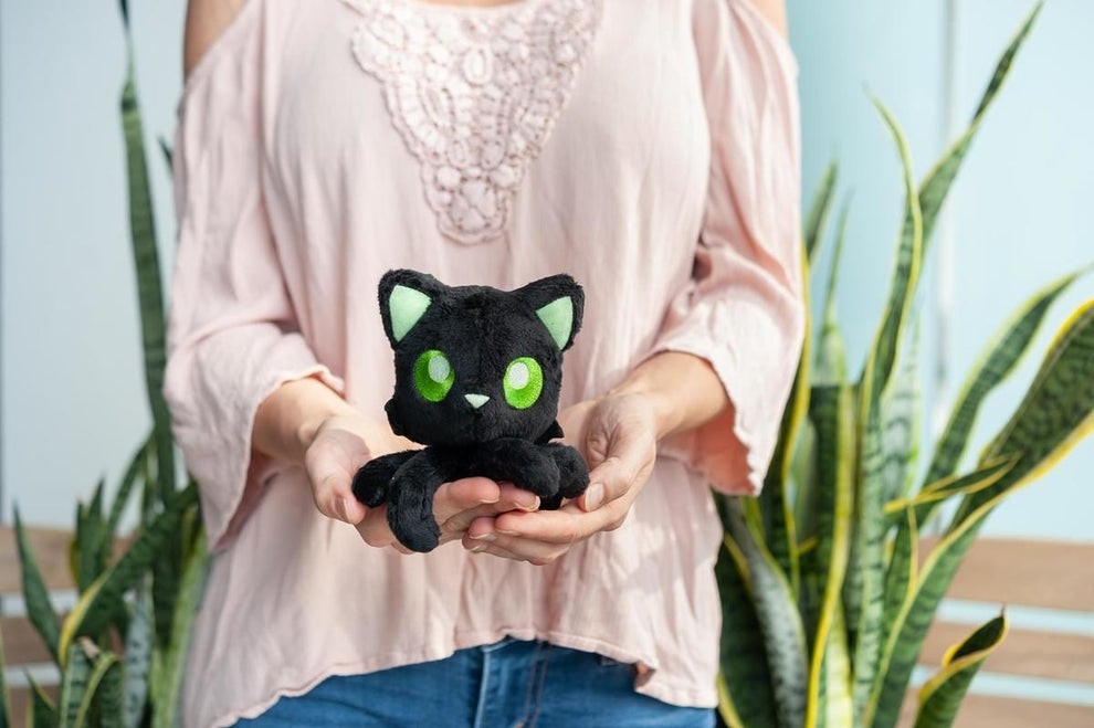 30 Things Anyone Who Loves Cats Will Probably Adore