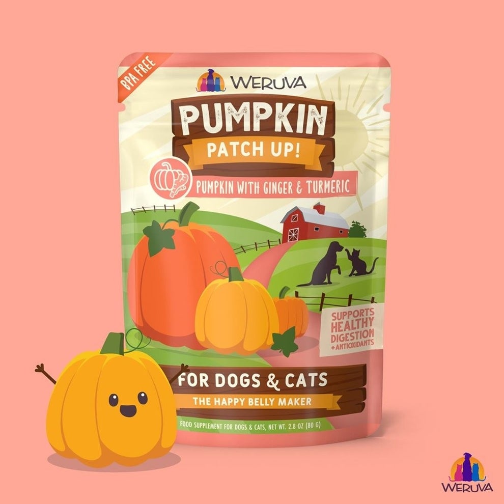 25 Pet Products From Amazon That Are Perfect For Fall