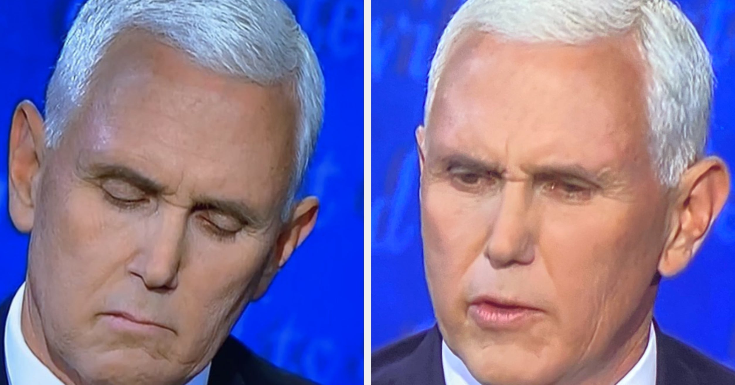 Fly On Mike Pence Head During Debate