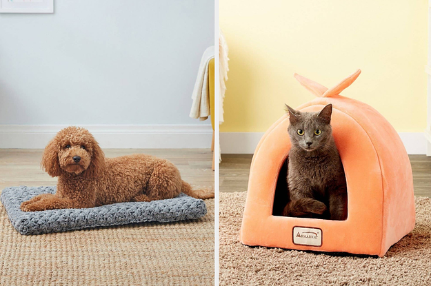 26 Things You Can Get On Sale At Chewy Right Now
