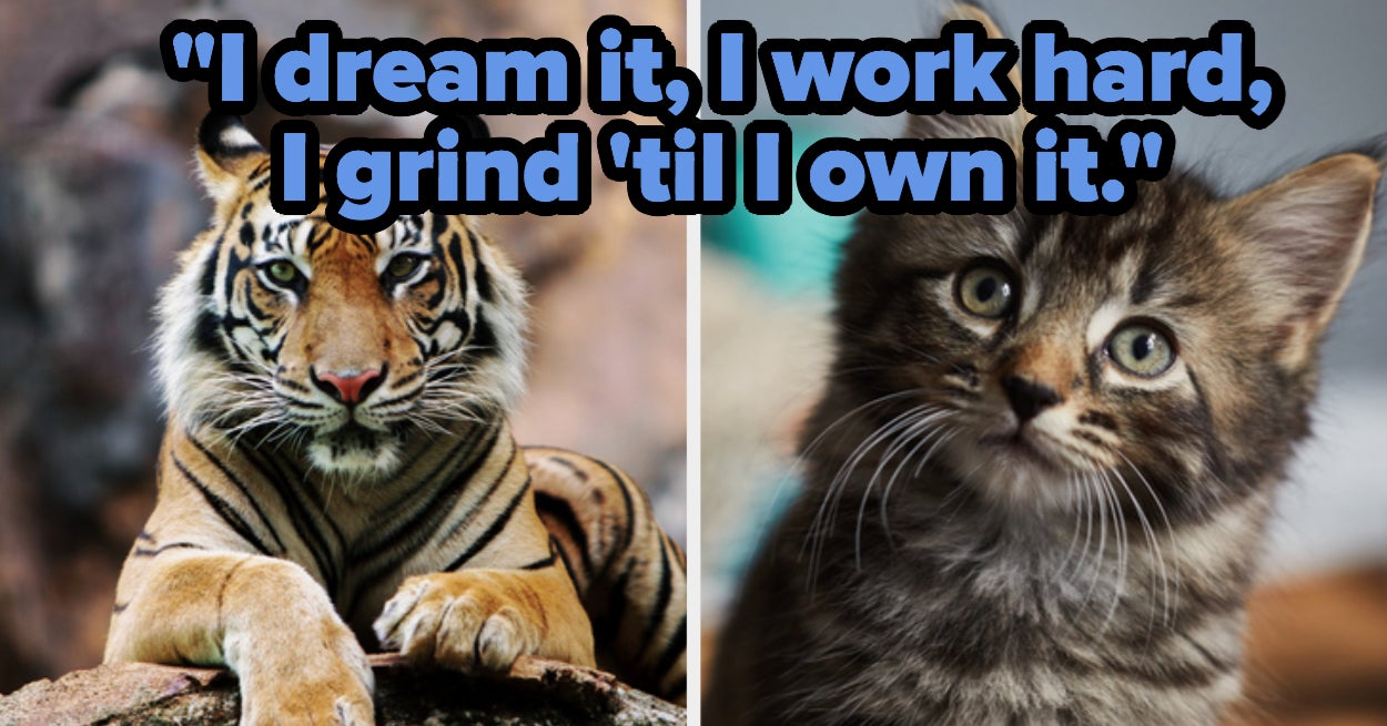 Pick Some Animals And We'll Give You A Quote To Live By