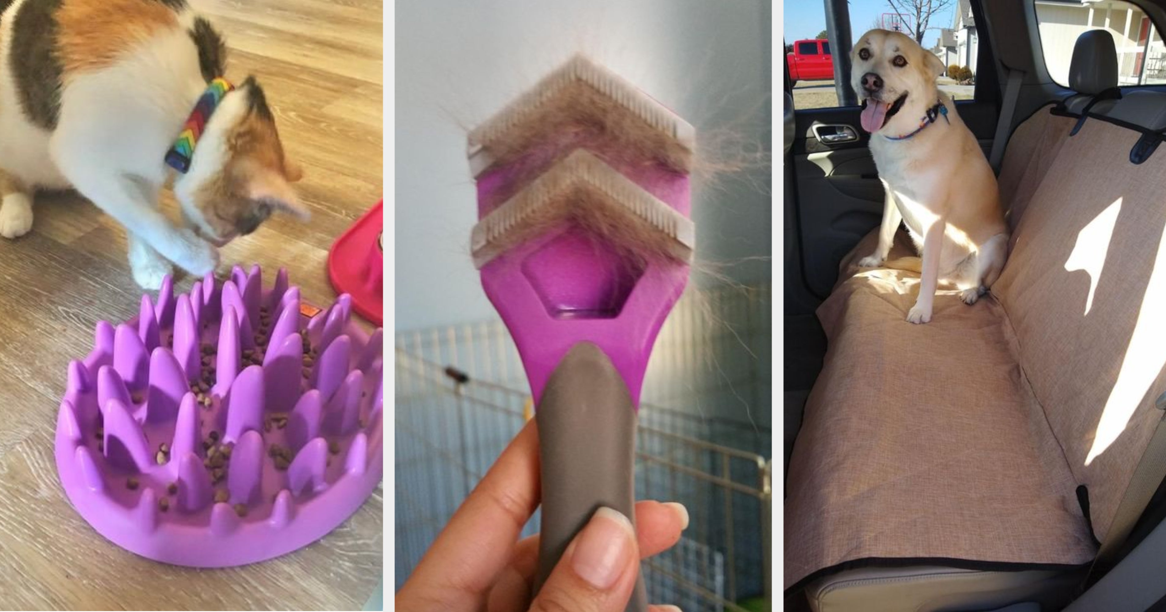 All The Best Early Black Friday Pets Deals At Amazon