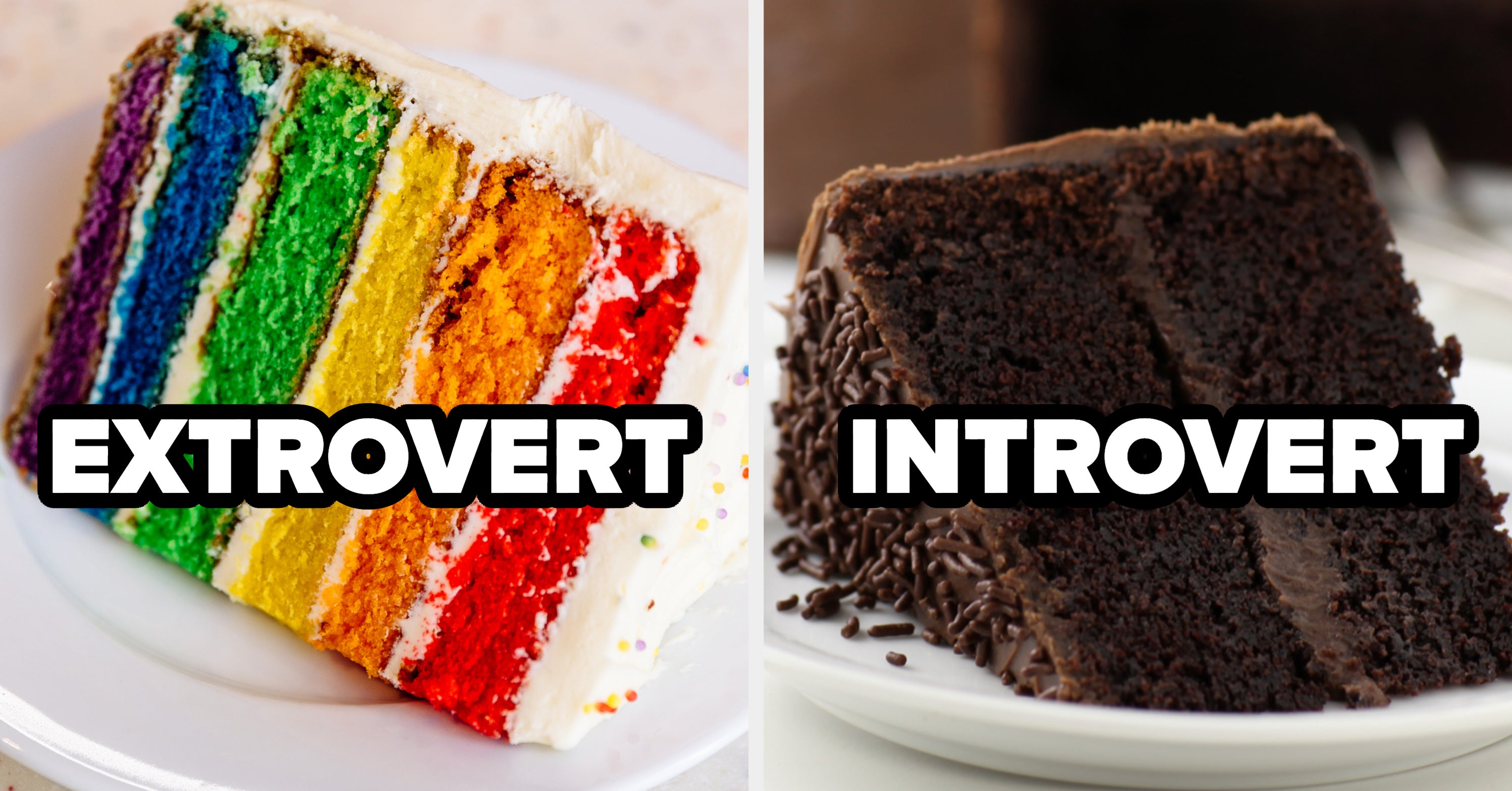 Bake A Cake And We'll Guess If You're An Introvert, Extrovert, Or Ambivert