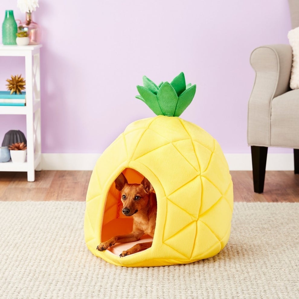 39 Cute And Useful Gifts For Dogs