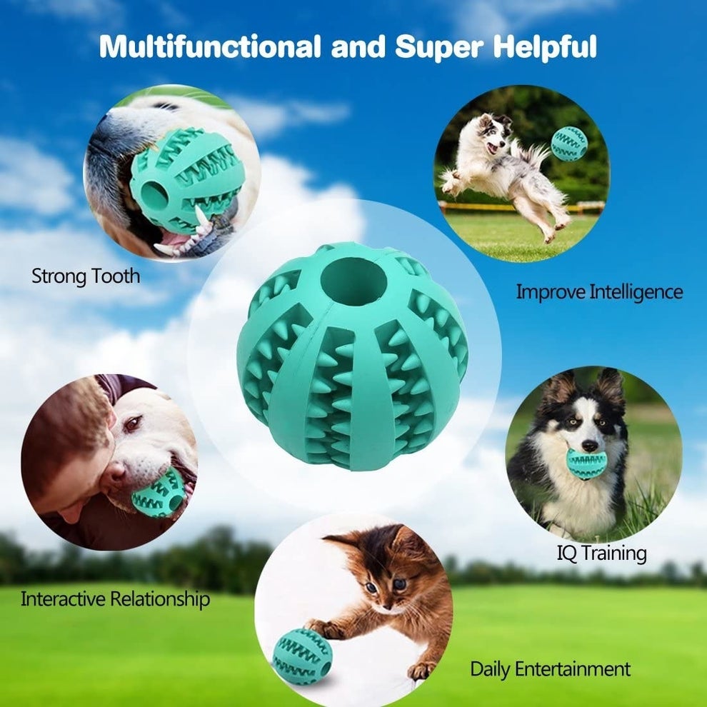 20 Pet Products That Owners Love So Much, They Left Over A Thousand Reviews