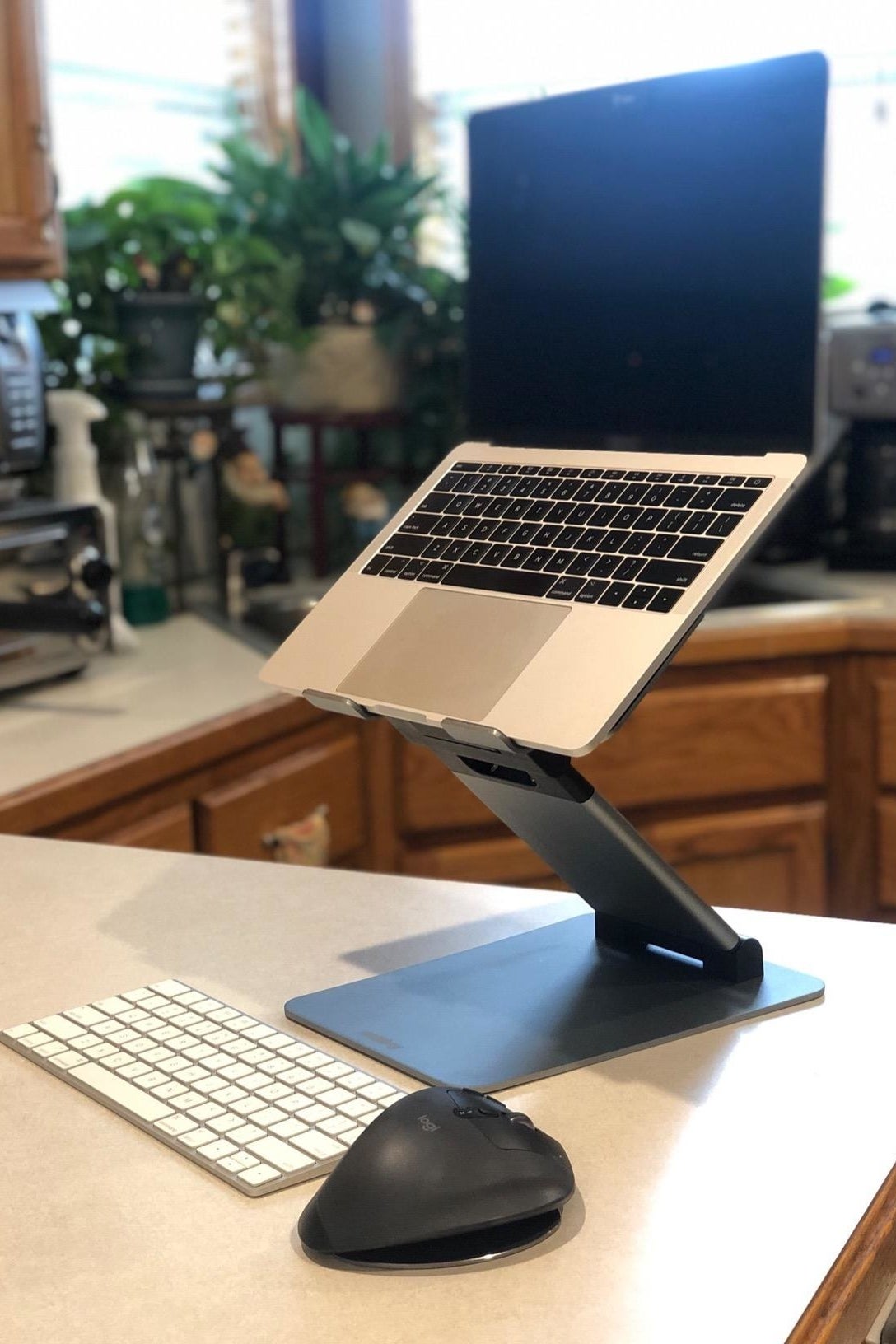 30 Best Budget Standing Desks To Buy In 2025