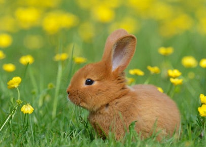 Find Out Your Fashion Style Based On Your Tea Preferences