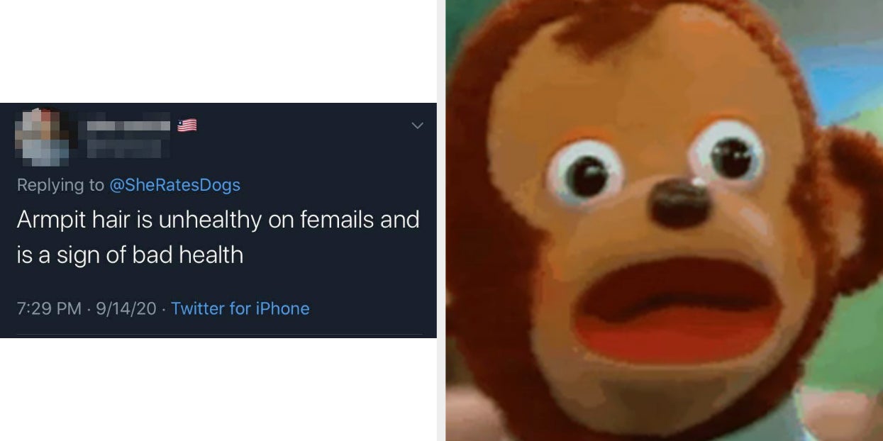 confidentlyincorrect gif