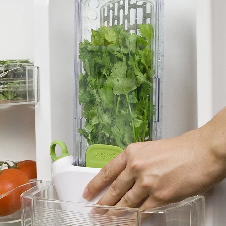 Genius Kitchen Products For Small Spaces