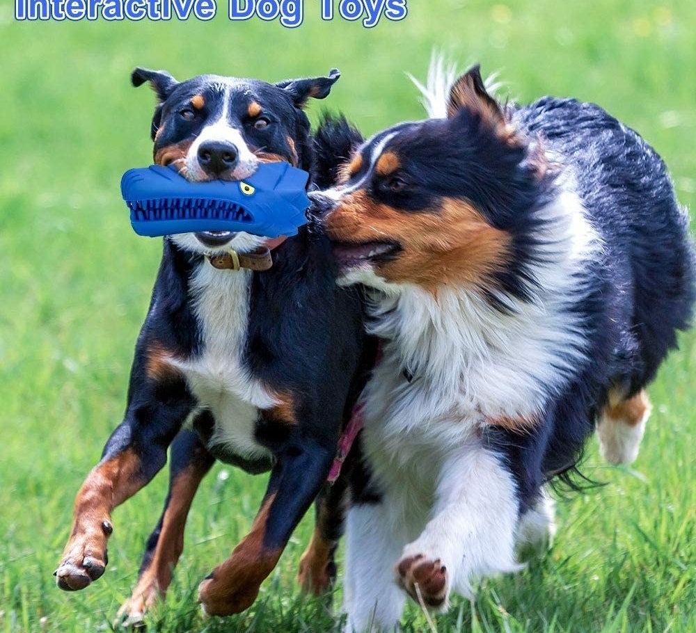 39 Cute And Useful Gifts For Dogs