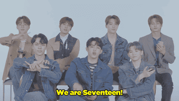 Which Seventeen Member Are You?