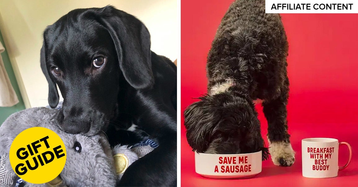 The Best Gifts You Can Gift A Pet Owner This Christmas