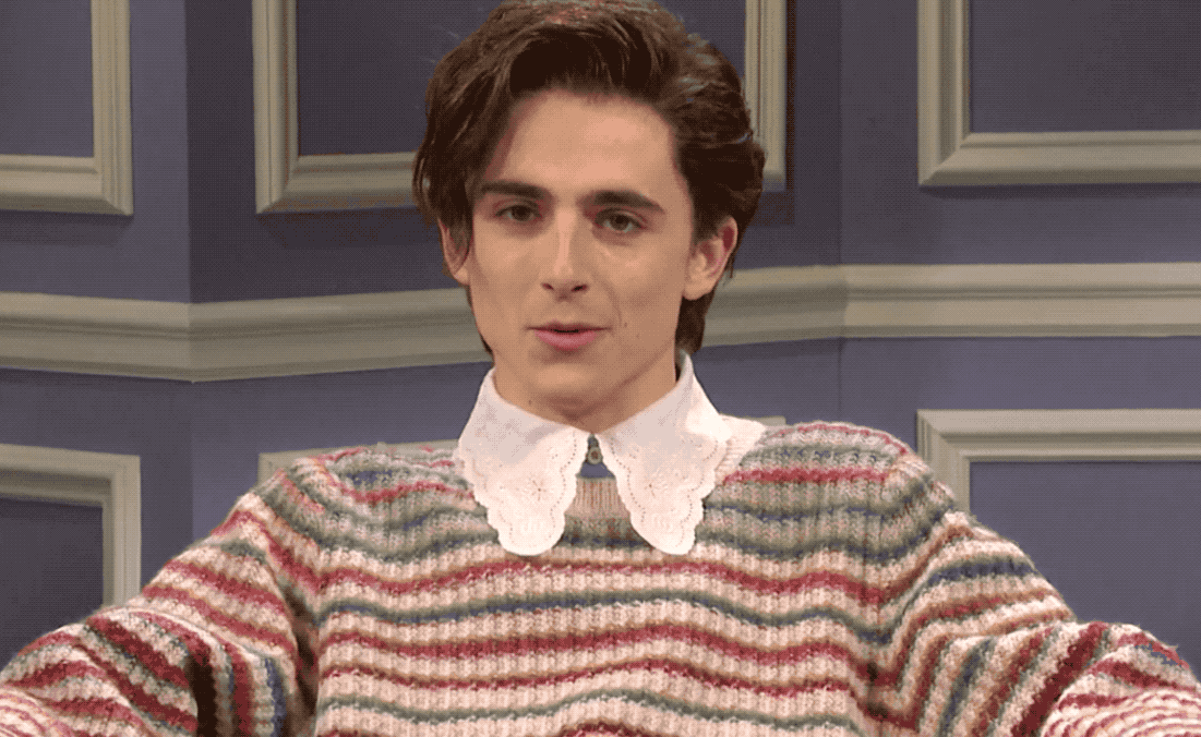 Timothée Chalamet's SNL Harry Styles Impression