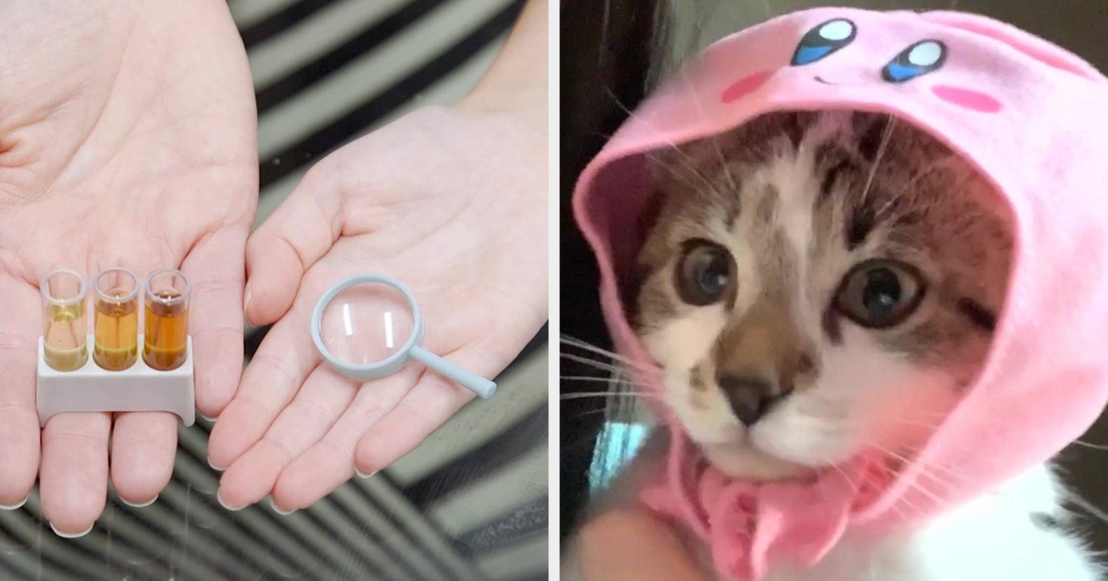Just 27 Things That Are Small, Cheap, And Cute