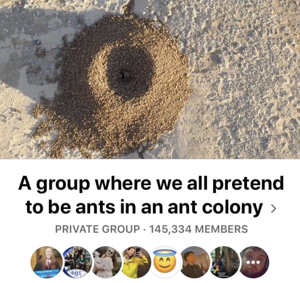 20 Of The Funniest Facebooks Posts From 2020