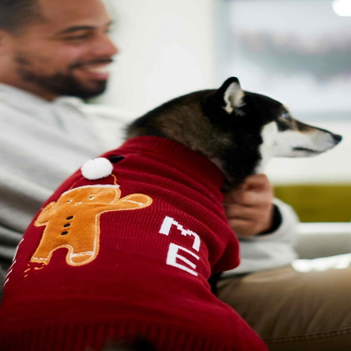 27 Things From Chewy You'll Wonder Why You Don't Own