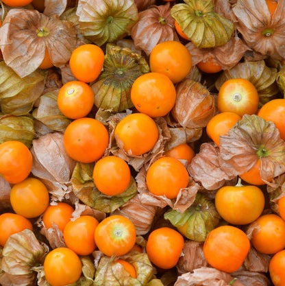 How Many Of These Fruits Have You Tried Checklist Quiz