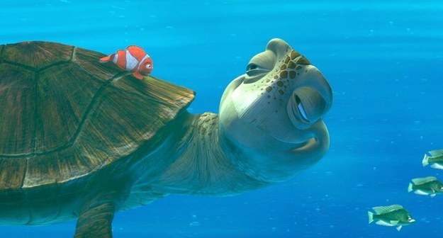 You'll Fail This Quiz Unless You've Seen "Finding Nemo" At Least 4 Times