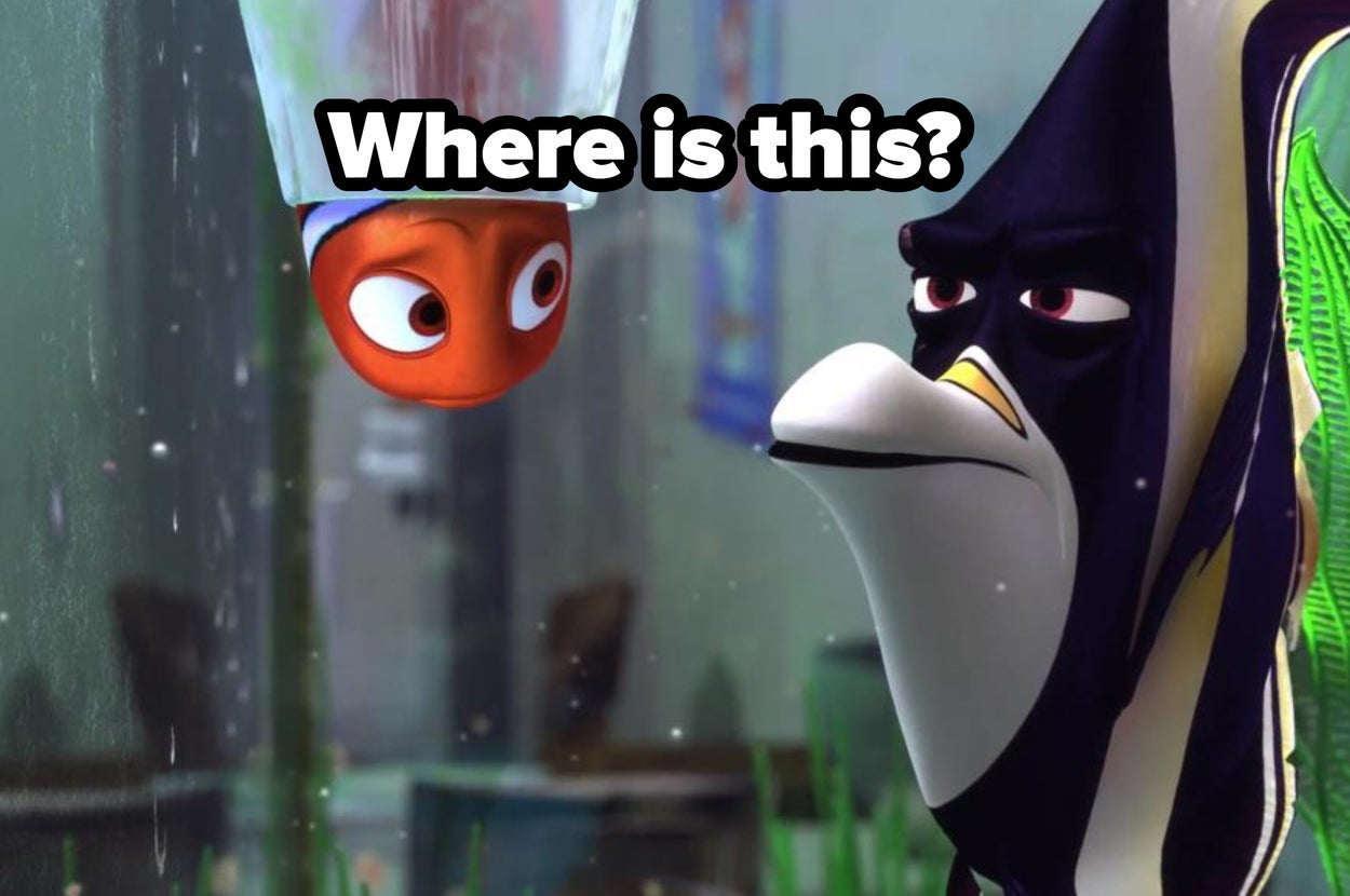 You'll Fail This Quiz Unless You've Seen "Finding Nemo" At Least 4 Times