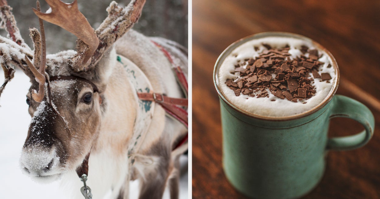 Make Hot Cocoa To Reveal Which Winter Creature You Are