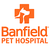 Banfield Pet Hospital (banfieldpethospital) on BuzzFeed