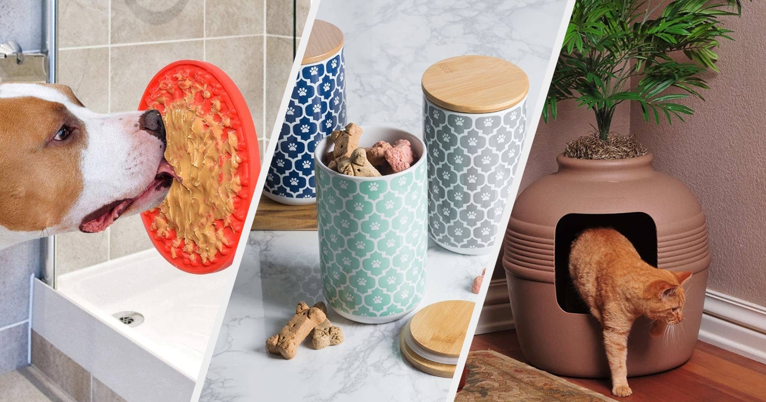 Best Pet Products For Cats And Dogs