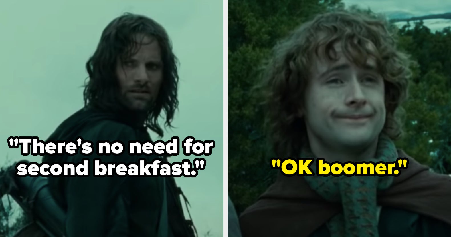Lord Of The Rings: The Fellowship Of The Ring Jokes And Memes