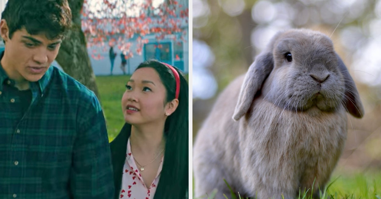 Pick Animal Pictures To See If You'll Have A Valentine