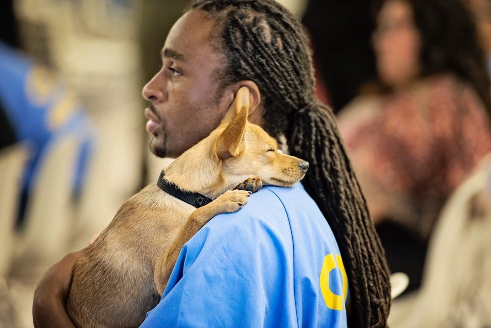 Pawsitive Change Program Rehabilitation For Dogs And Humans