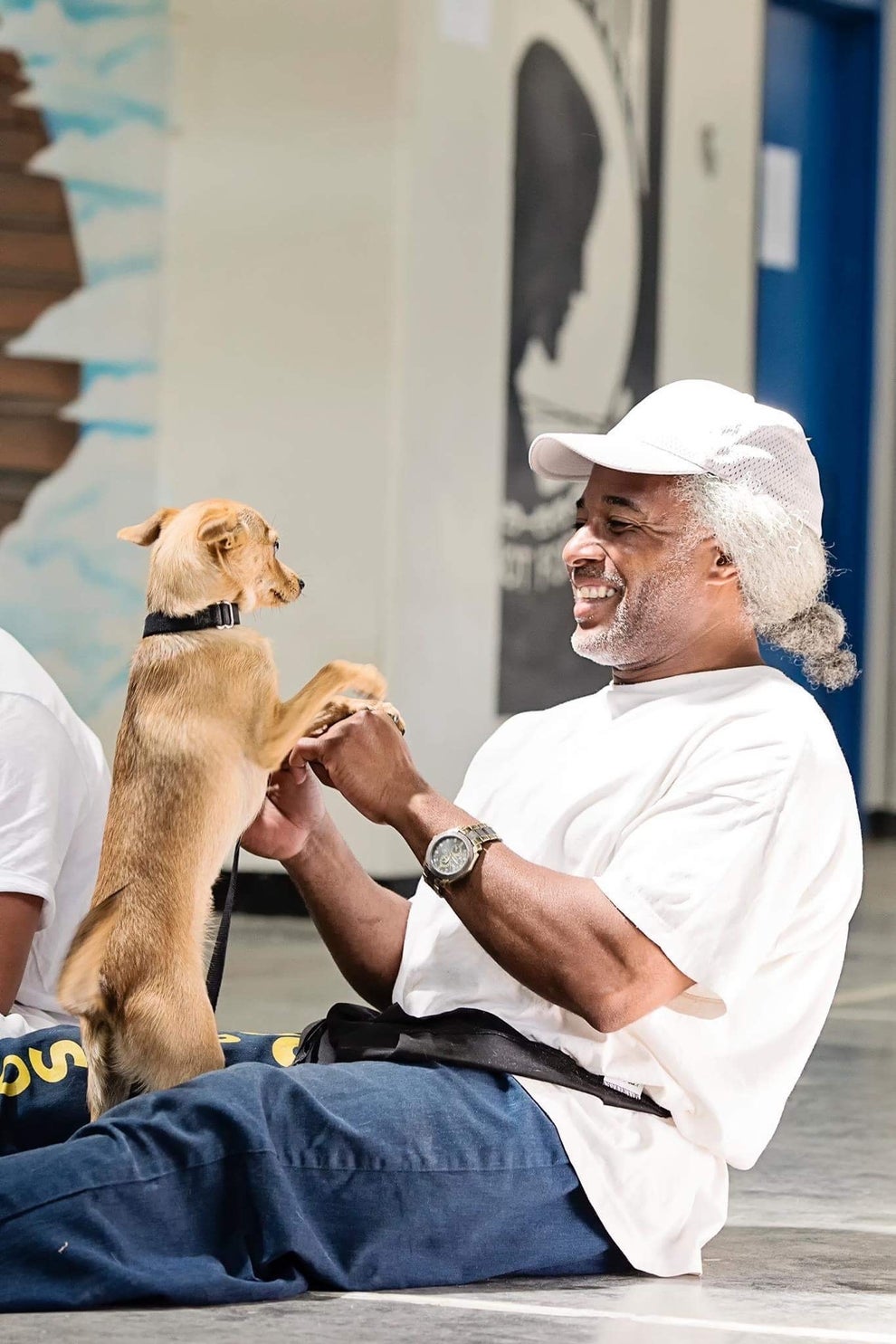 Pawsitive Change Program Rehabilitation For Dogs And Humans