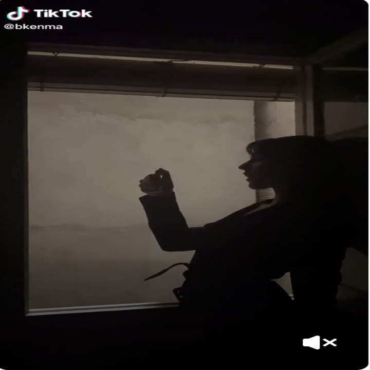 #SilhouetteChallenge Tutorial