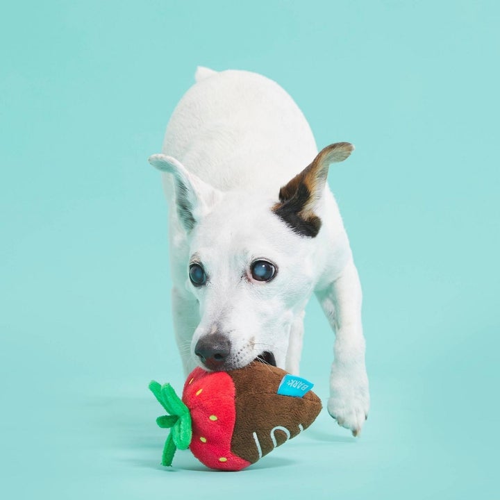 31 Valentine’s Day Gifts From Target That Are Both Exciting To Own And ...