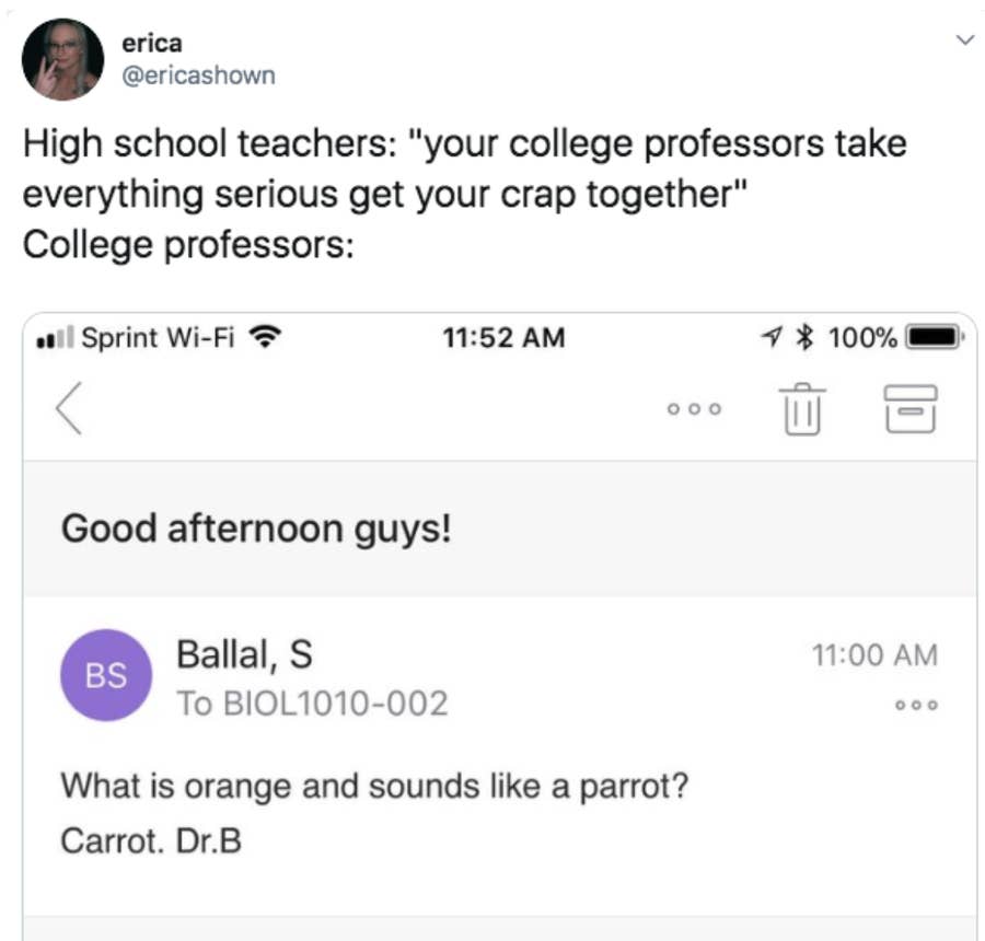 professor teacher difference