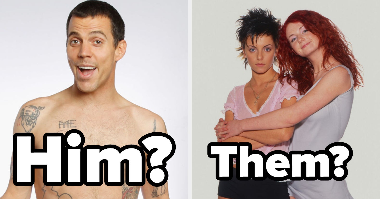 Who Are These People Polls