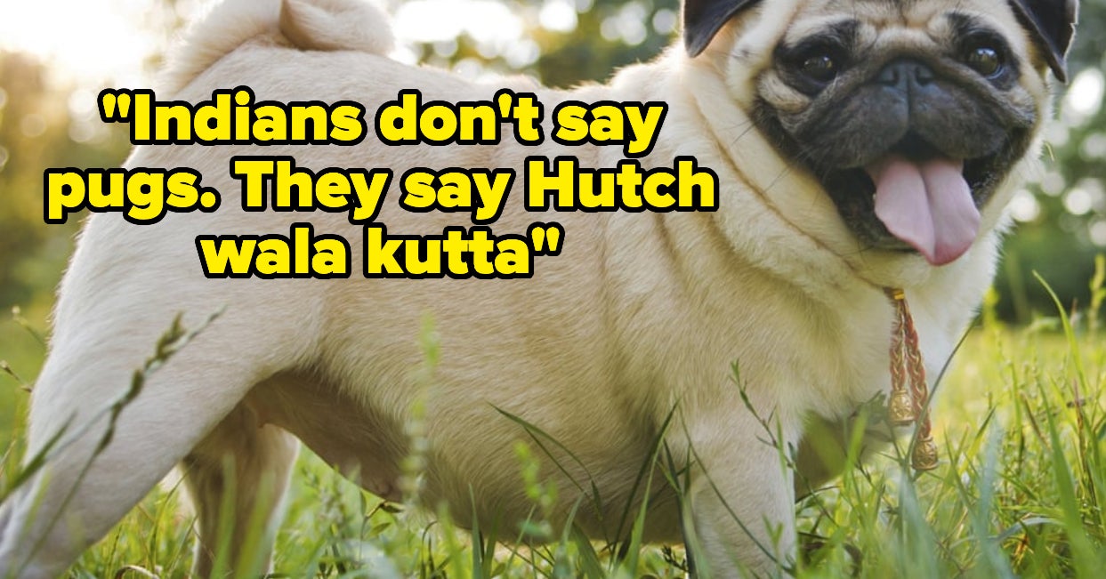 Funny Tweets By Indian Women