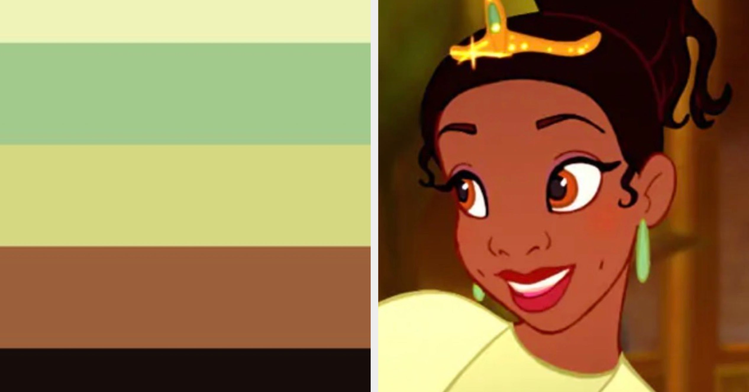 princess jasmine color code