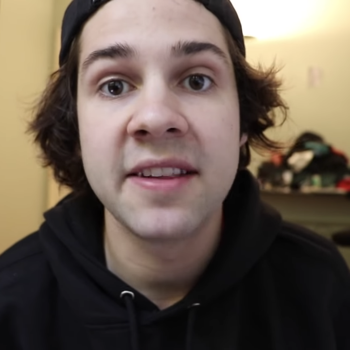 YouTuber Seth Calls David Dobrik Prank Video Sexual Assault