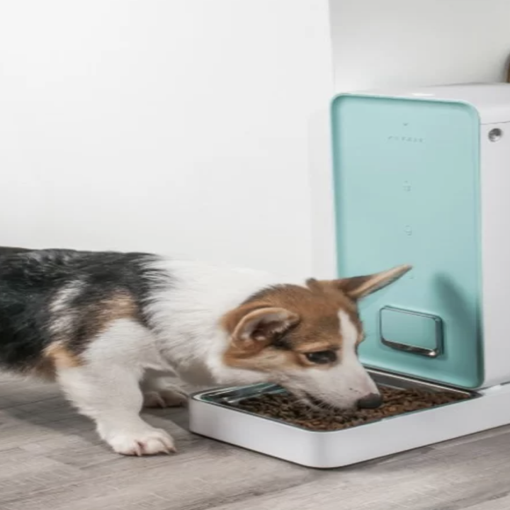 10 Smart Products That Will Really Up Your Pet Parent Game
